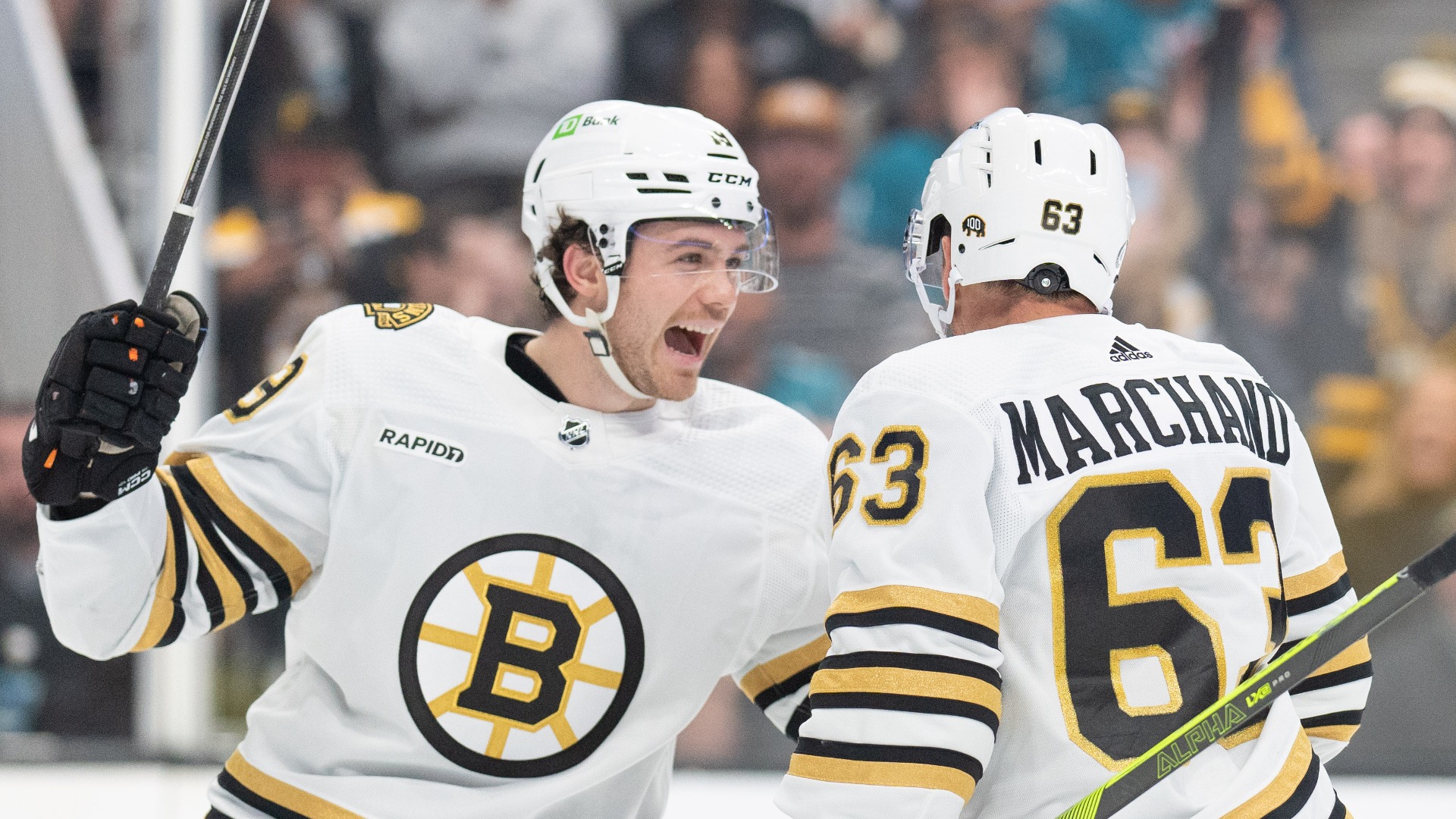 Bruins Wrap: B's Dominate Sharks In First Road Win To Stay Perfect