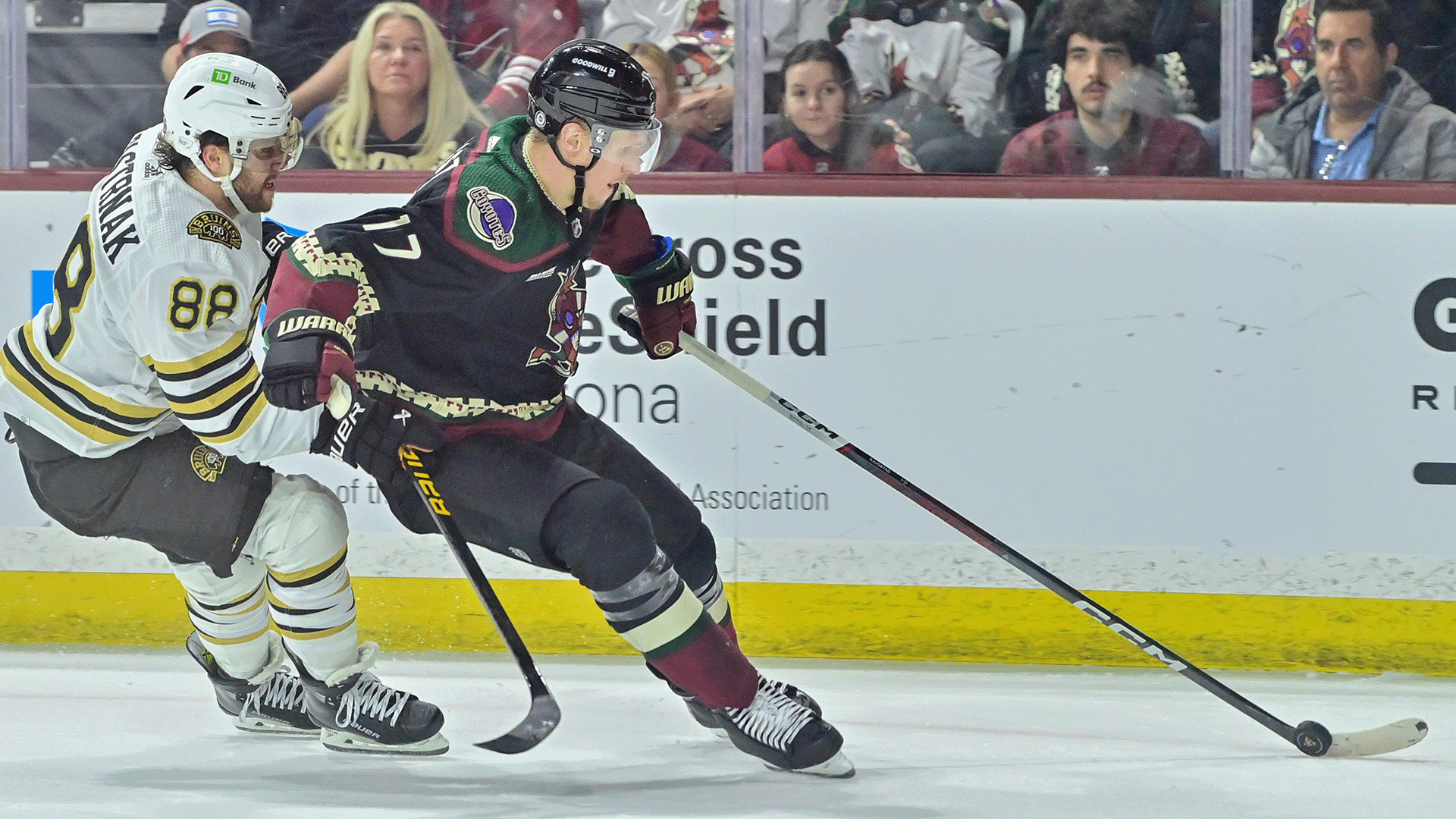 Bruins Fall In Overtime To Coyotes Following Linus Ullmark Injury