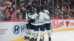 WON Archives - NESN.com