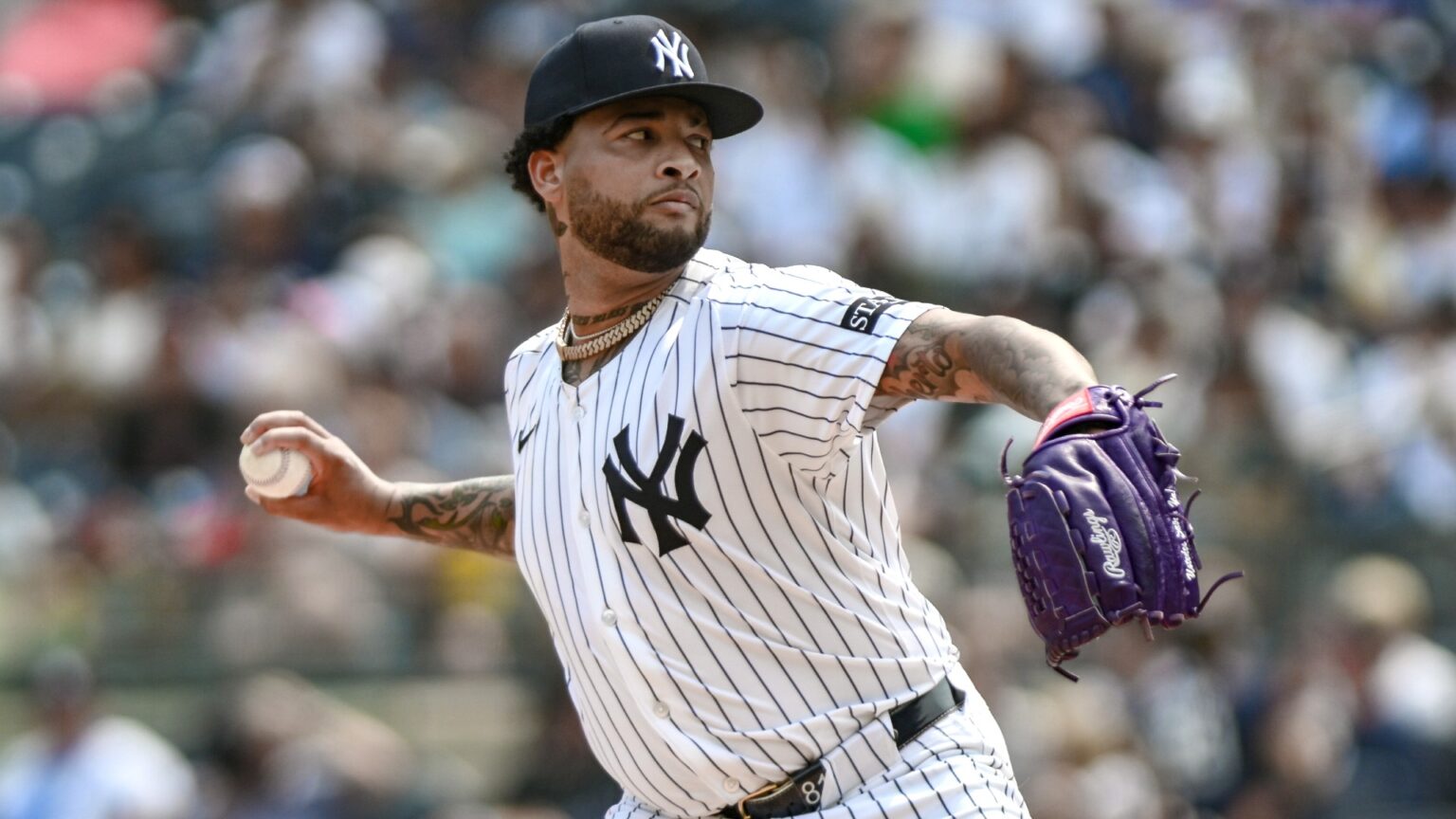 Julian Edelman Dubbed 'Minitron' After 'Megatron' Calvin Johnson by Tom ...